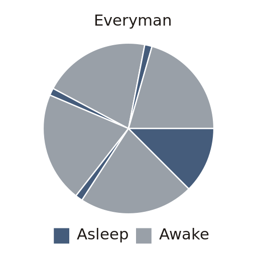 Skill Collector - Polyphasic everyman sleep cycle